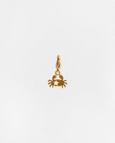 Charms! – Allium Accesorios